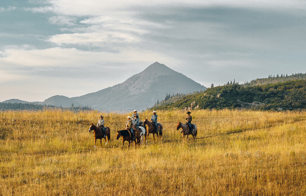 Hawthorn Highlight: How We Designed The Home Ranch’s Luxurious New Website